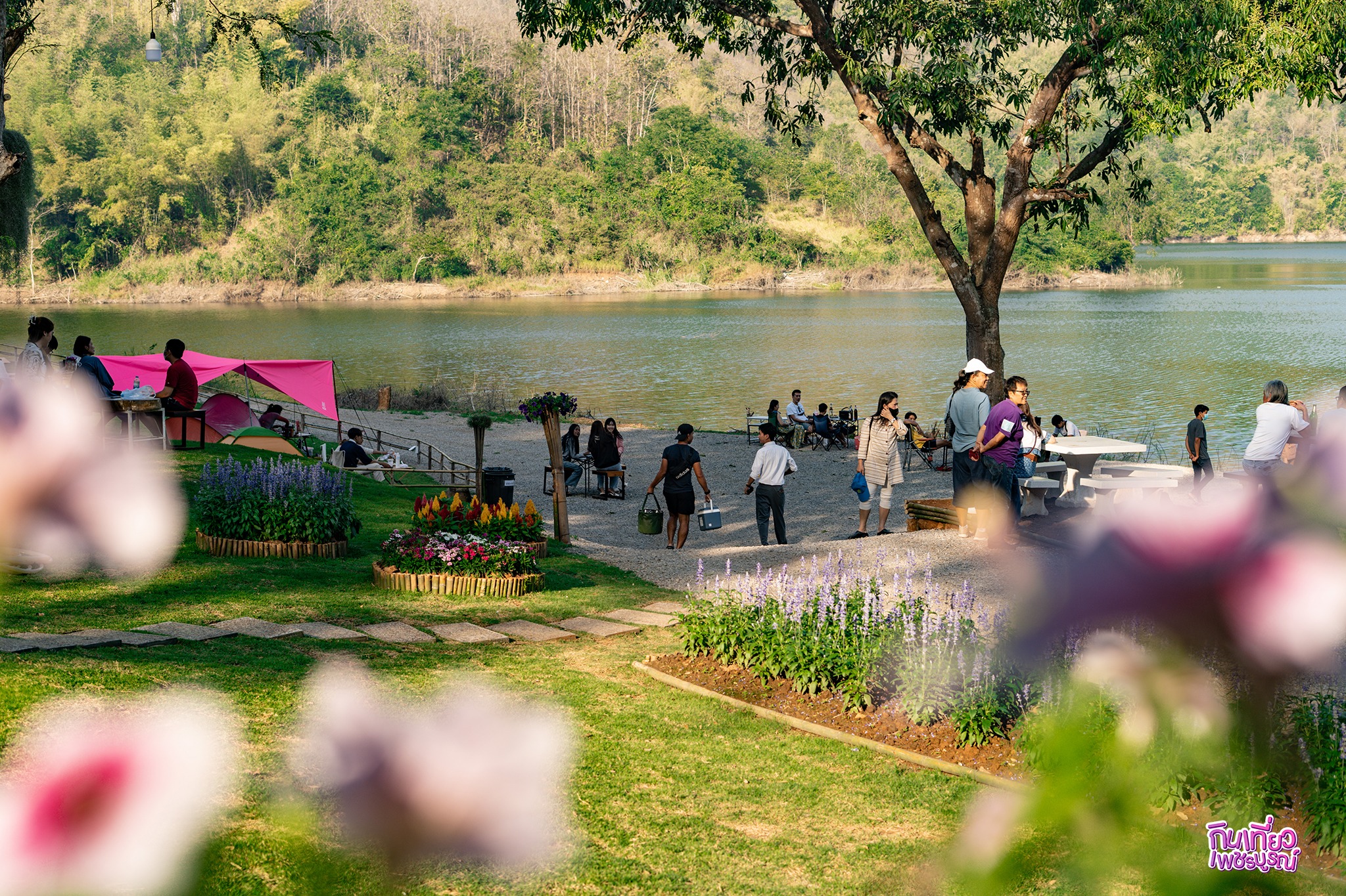 Jumjim CAMP จุ๋มจิ๋มแคมป์ @วังชมภูเพชรบูรณ์ - กินเที่ยวเพชรบูรณ์